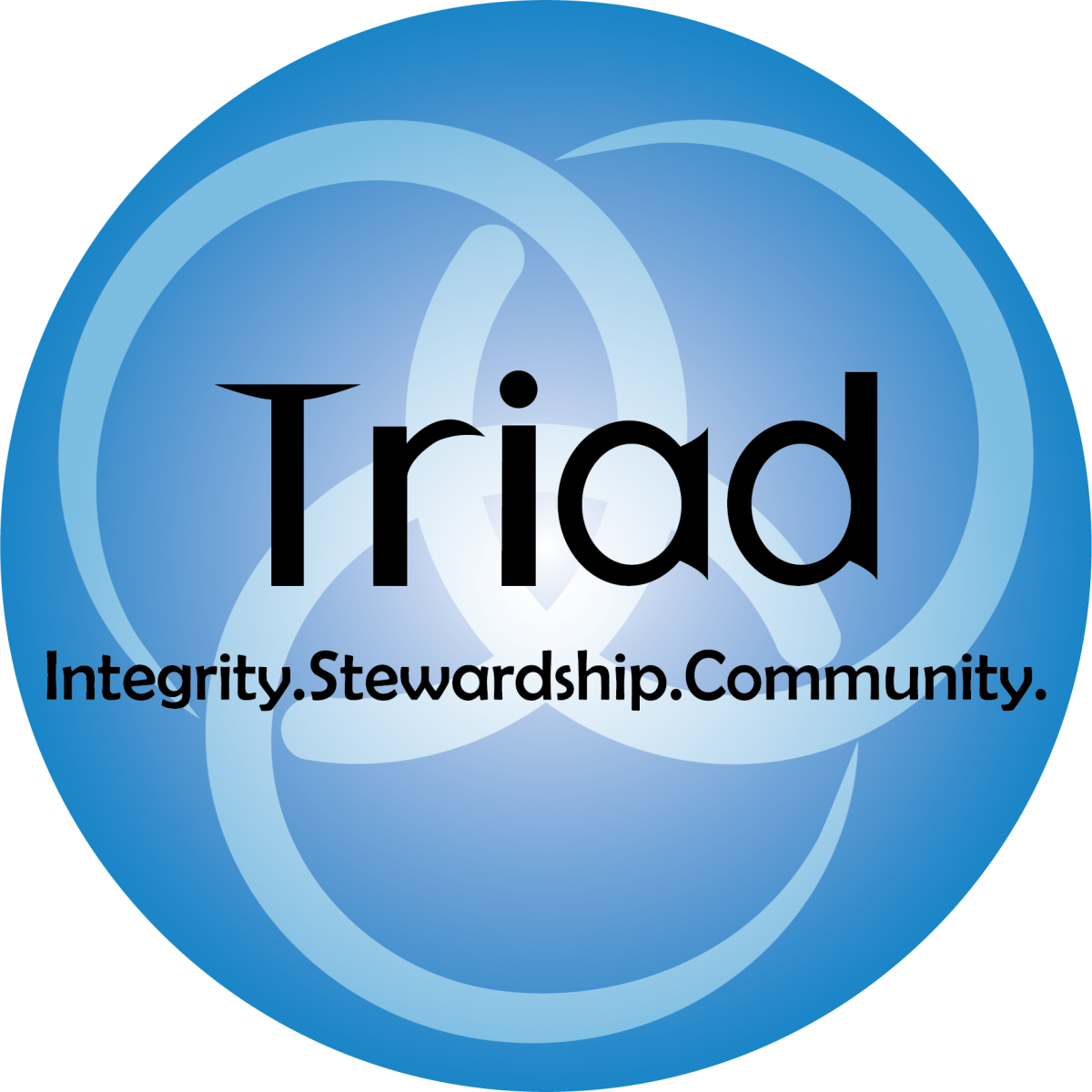 Triad Leadership Program | Trustee Student Organization Support